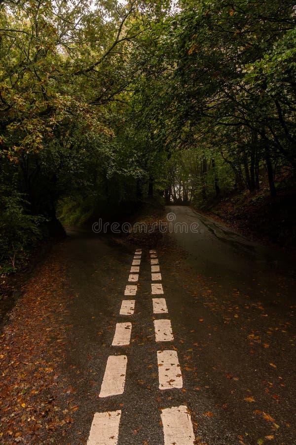 Two Roads are Diverging in a Forest Creating a Fork in the Road Stock ...