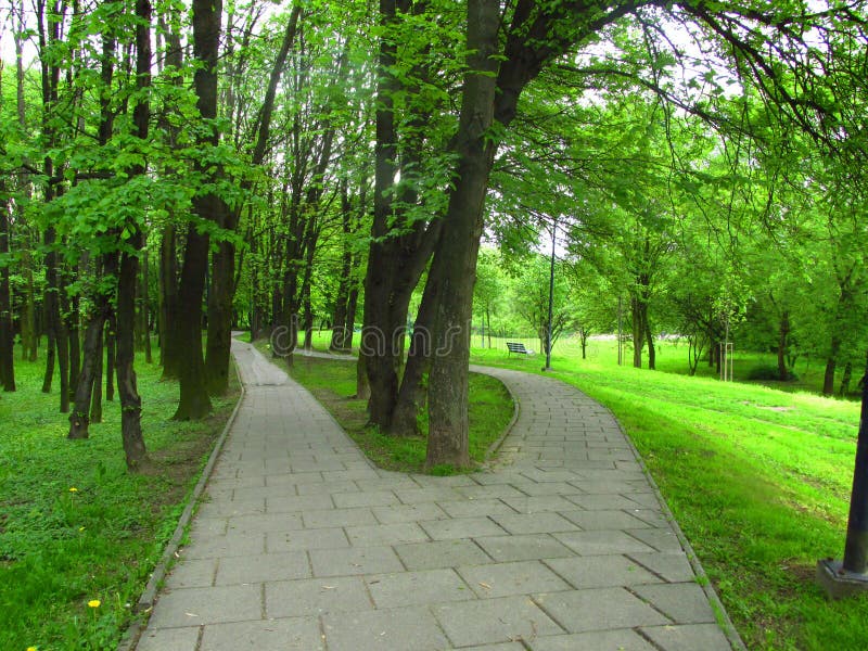 Two Roads Green Park Summer Stock Image - Image of choosing, green ...