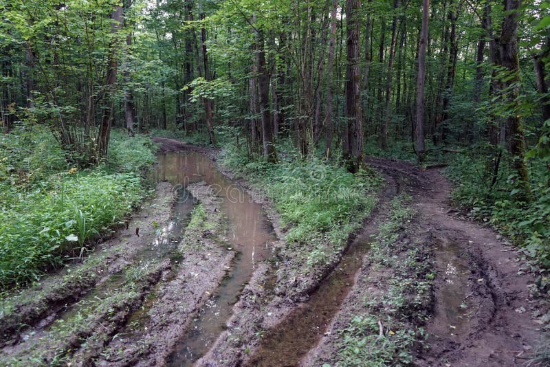 Two roads stock photo. Image of soft, water, road, rural - 122797752