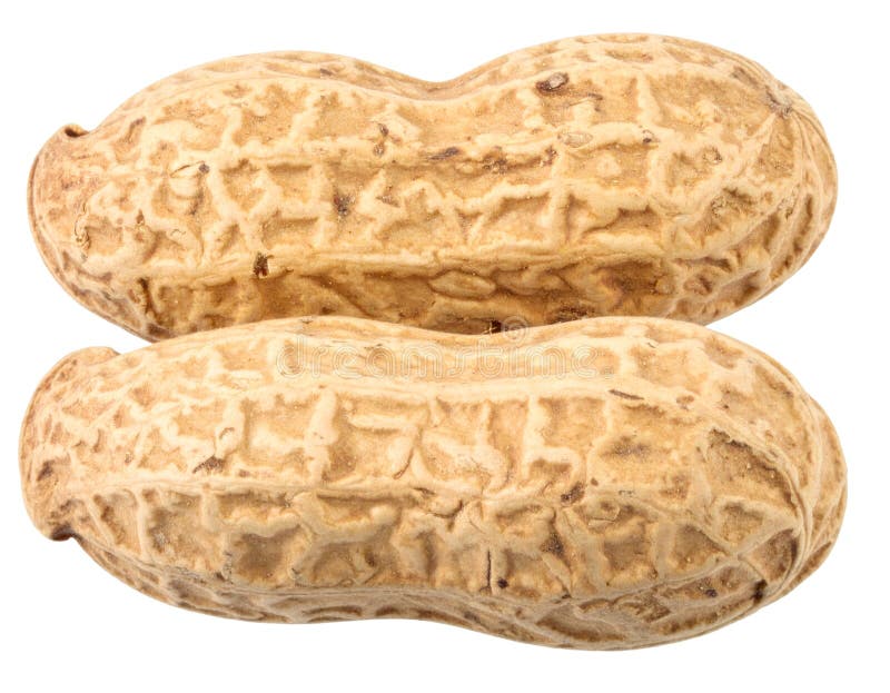 Two Roasted Peanuts in Shells Isolated on Transparent Background Stock ...