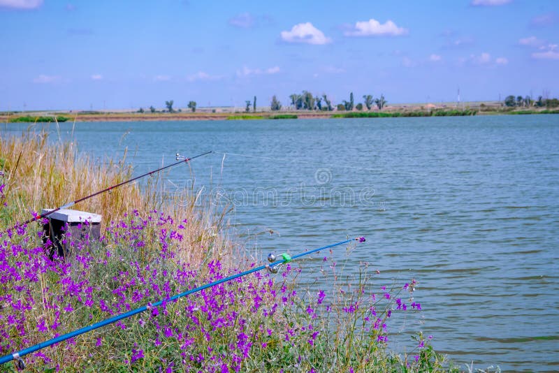 Two Rods. Fishing on the Lake Stock Image - Image of hobby, season ...