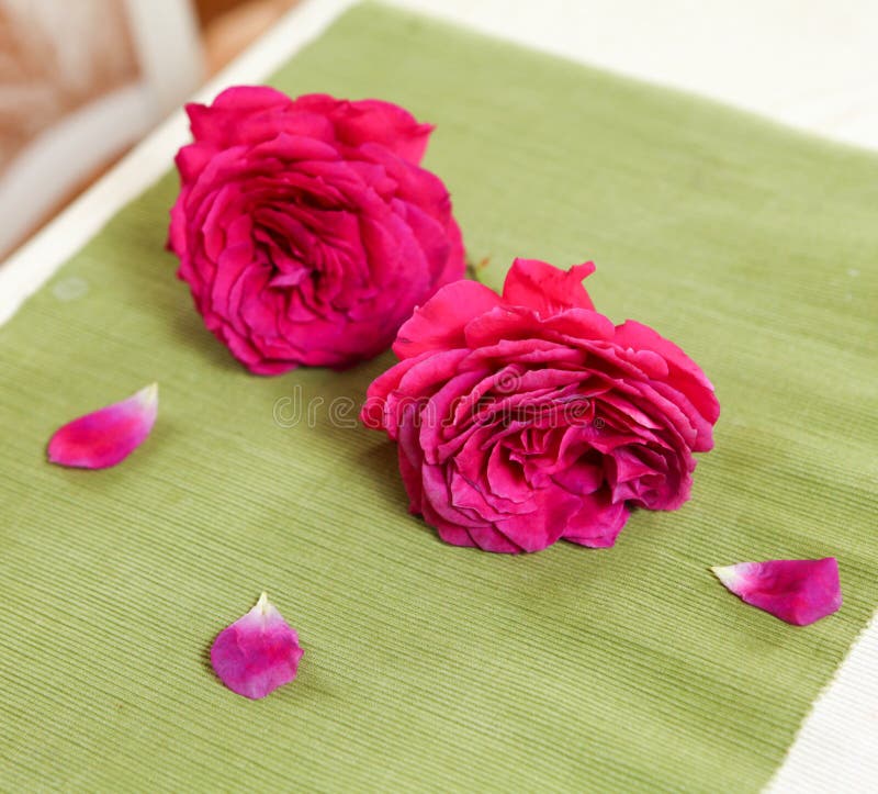 Two roses stock image. Image of rose, green, floral, flower - 22726907