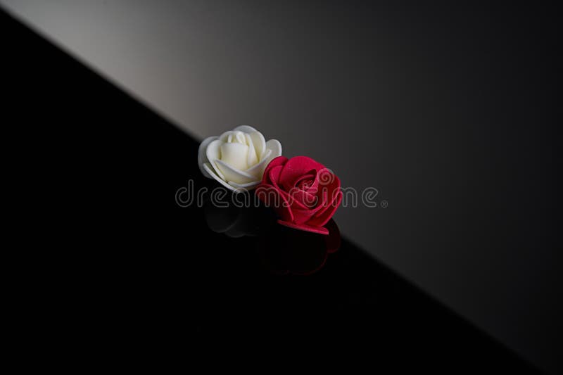 Red Roses on Plain White Background - Product Photography Stock Photo ...