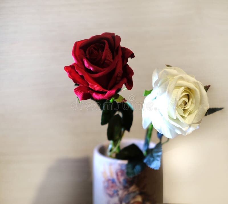 Two roses stock photo. Image of roses, rose, white, vase - 110579174