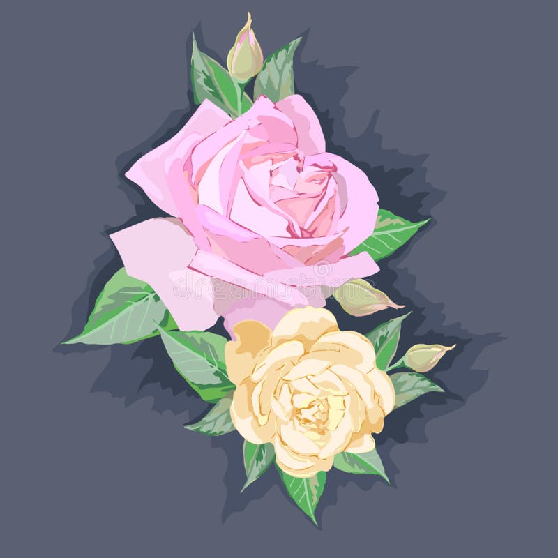 Two Roses Stock Illustrations – 1,682 Two Roses Stock Illustrations ...