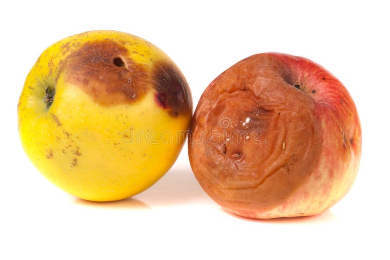 Two Rotten Apple Isolated on a White Background Stock Photo - Image of ...