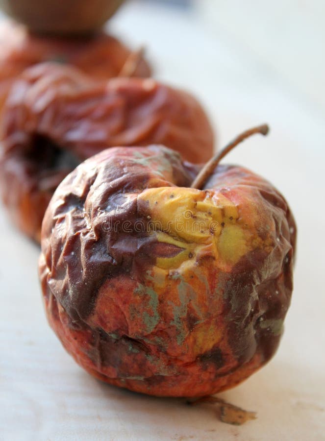 Two rotten apples in a row stock image. Image of decomposed - 149894339