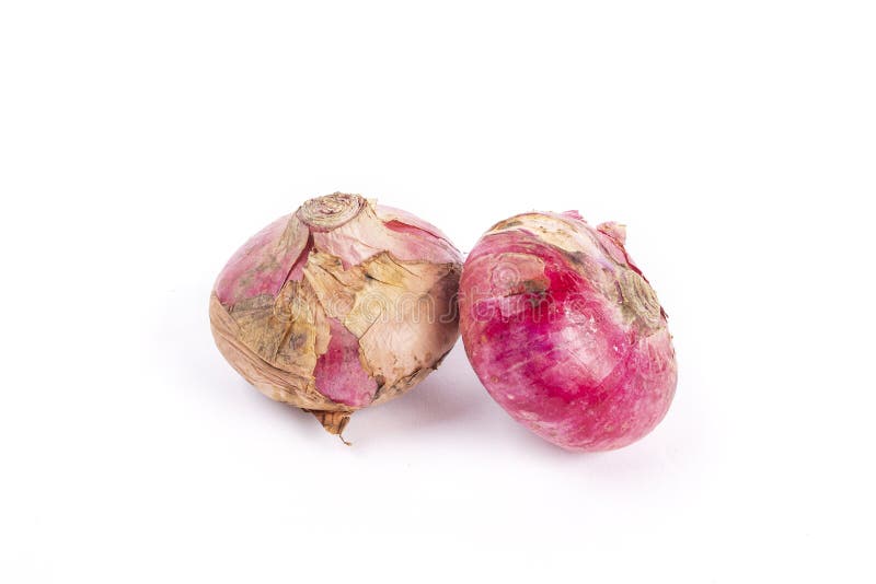 Two Rotten Red Onions Isolated on a White Backfground Stock Photo ...