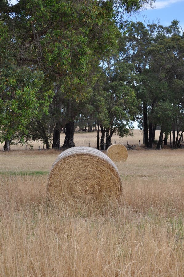 Two round hay bails stock image. Image of bale, crop - 48724939