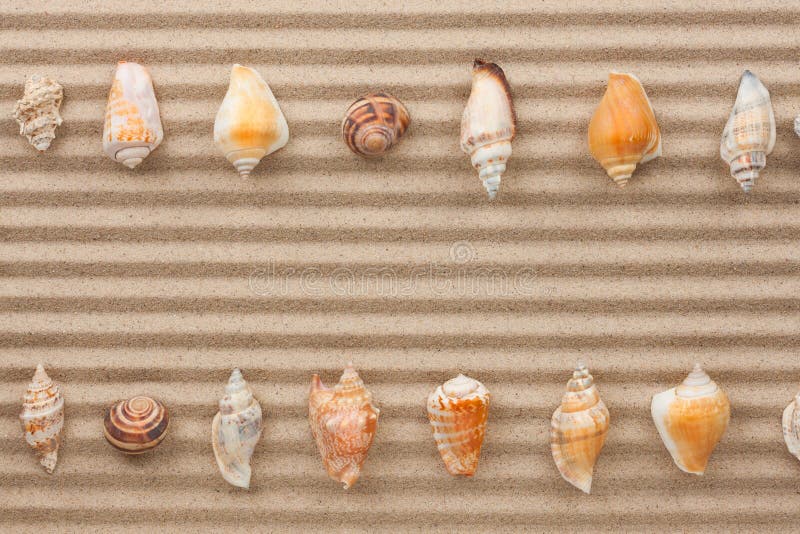 Two Rows of Sea Shells Lying on the Sand Stock Image - Image of copy ...