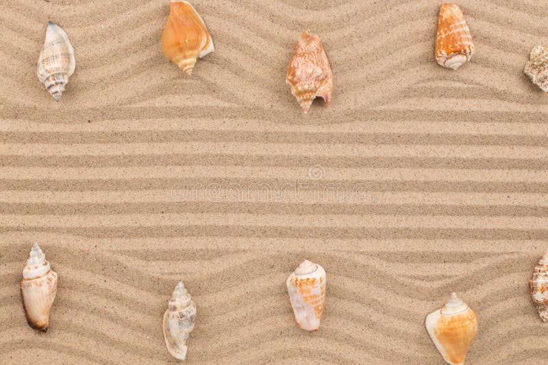 Two Rows of Seashells Lying on the Wavy Sand, with Space for Text ...