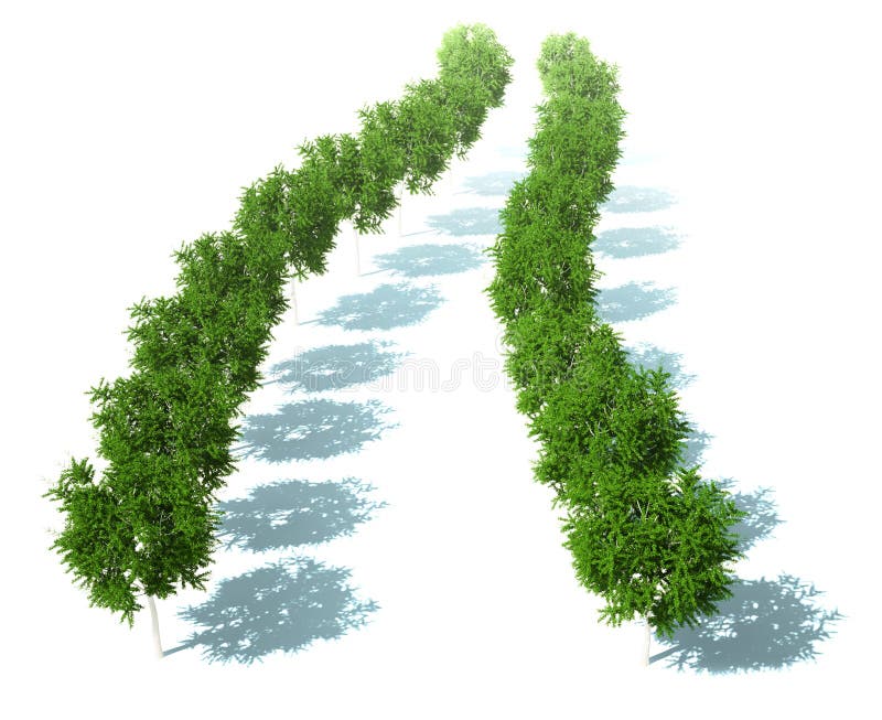 Lined Path Tree Stock Illustrations – 50 Lined Path Tree Stock ...