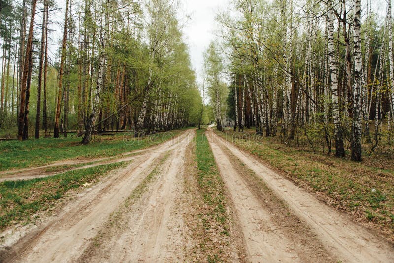 Two-track Dirt Road in Country Stock Photo - Image of recreation ...