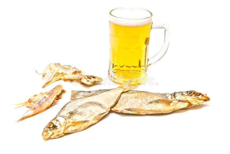 Two salty fishes and beer stock photo. Image of fins - 50749018