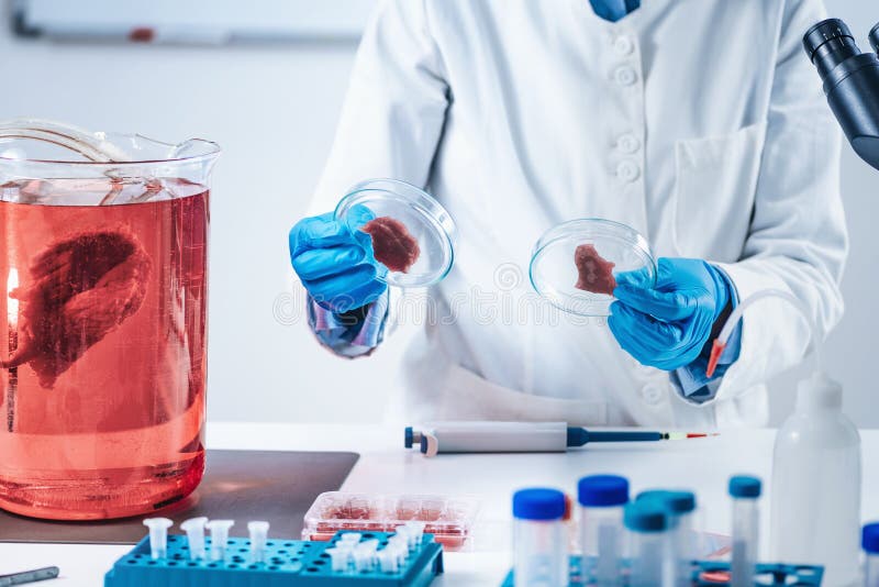 245 Separate Raw Meat Stock Photos - Free & Royalty-Free Stock Photos ...