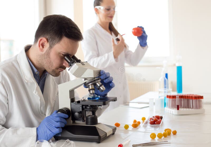 Scientists with Vegetables in Laboratory Stock Image - Image of ...