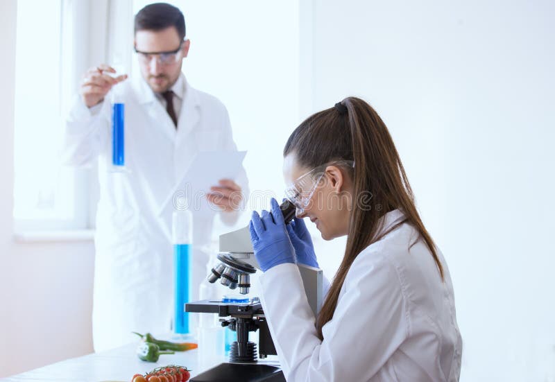 Scientists with Vegetables in Laboratory Stock Photo - Image of ...