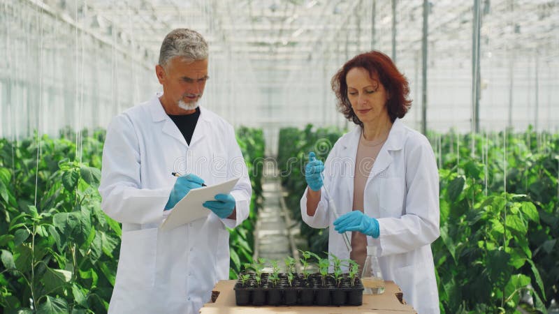 Two Scientists from Healthy Eating Research Center, Laboratory Workers ...