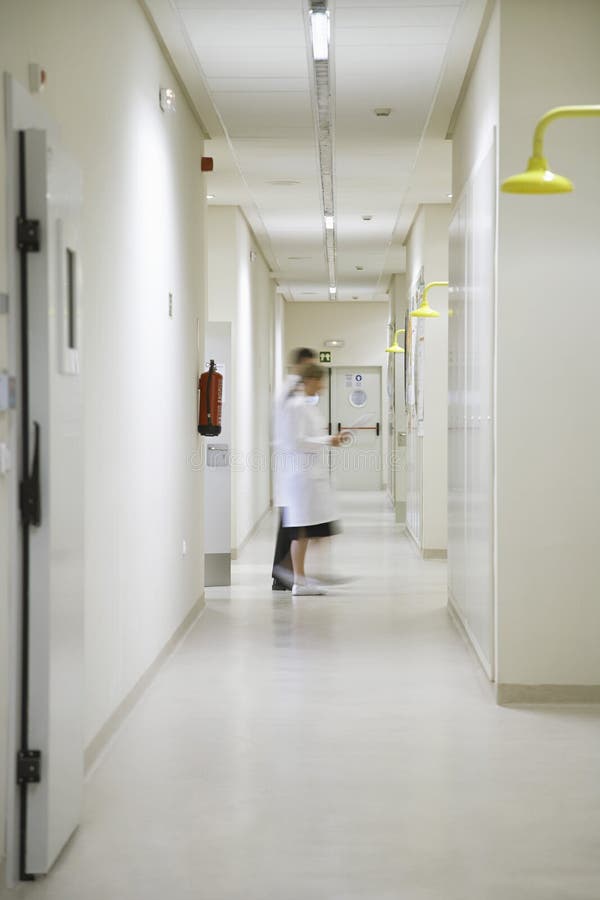 Two Scientists Walking Down Hallway Stock Photo - Image of adult ...