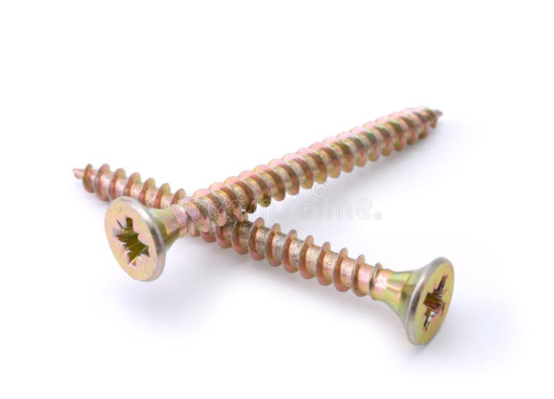 Two screws stock image. Image of brass, shot, tool, threaded - 10980351