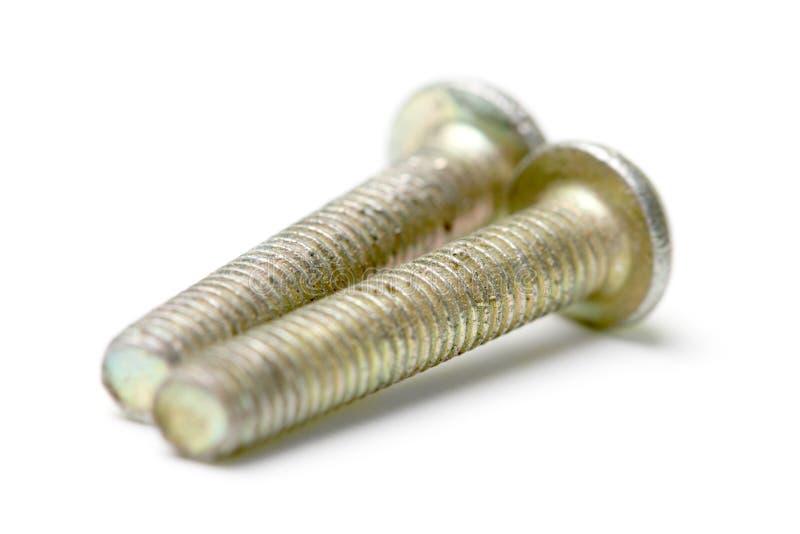 Two screws stock photo. Image of stainless, bronze, iron - 21928062