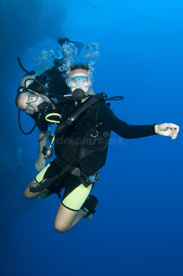 Scuba divers enjoy dive stock image. Image of blue, leisure - 15906797
