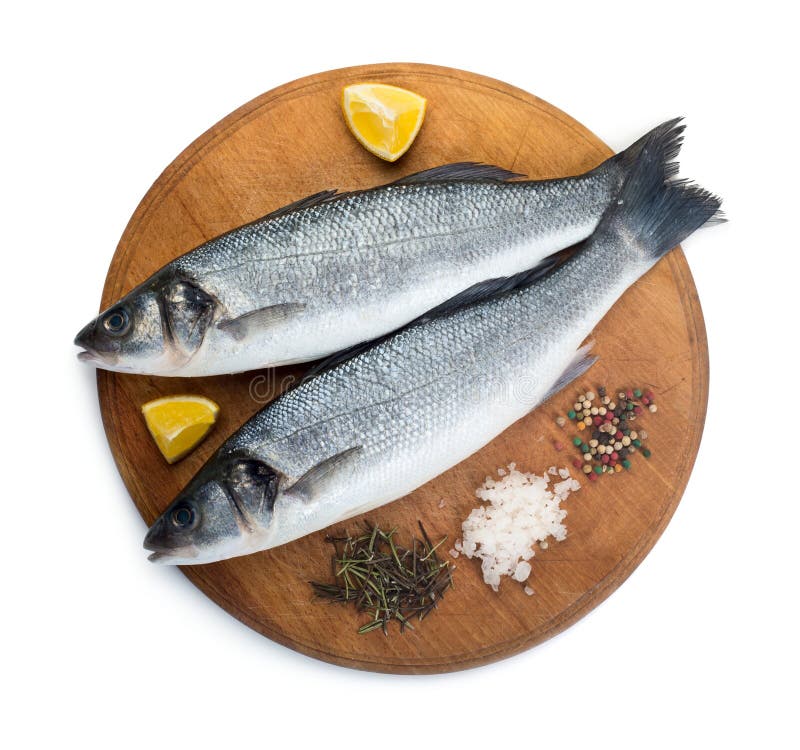 Two sea bass fish stock photo. Image of rosemary, uncooked - 96839970