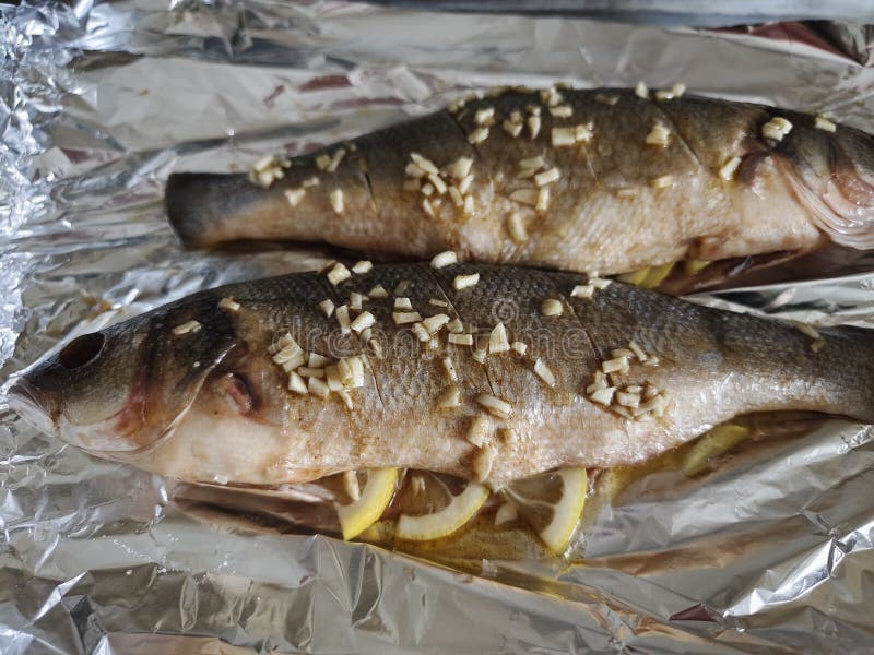 Two Sea Bass Fish Marinated and Laid Out on a Baking Tray Stock Image ...