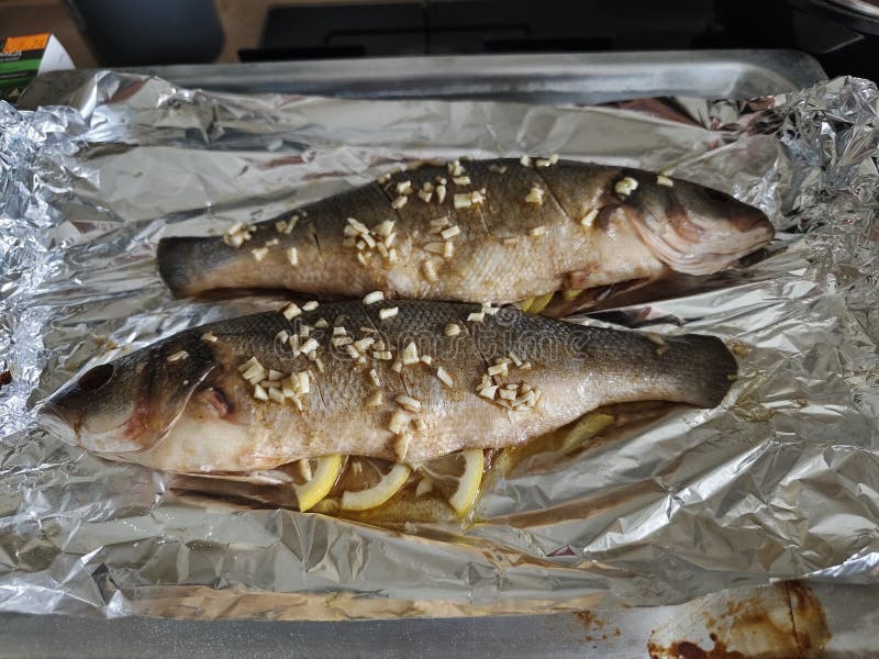 Two Sea Bass Fish Marinated and Laid Out on a Baking Tray Stock Photo ...