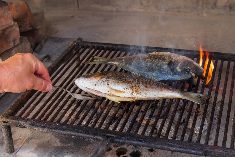 Two Sea Fish on the Grill are Being Grilled on Barbecue Coals Stock ...