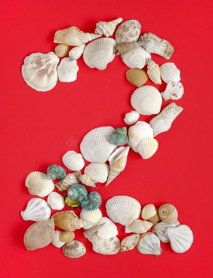 Two with sea shells stock image. Image of background, sign - 7690067