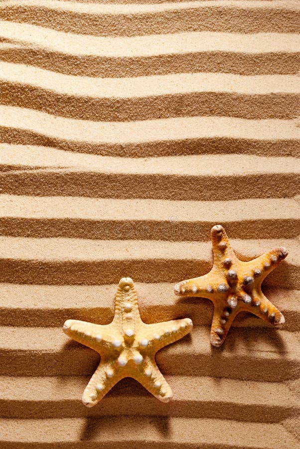 Two sea stars. stock image. Image of marine, pattern - 58804831