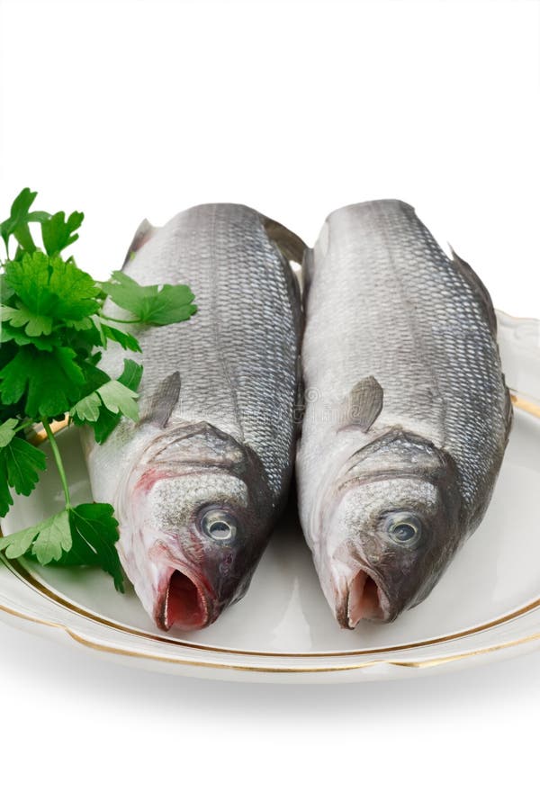 Two Seabass Fish on a Plate Stock Photo - Image of food, studio: 11488230
