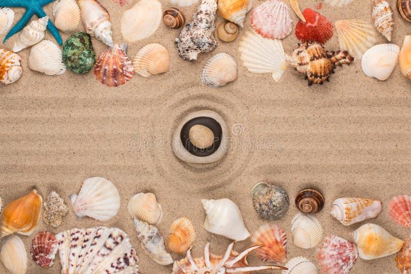 Two Seashell in the Center of a Circle Made of Sand, among Seashells ...