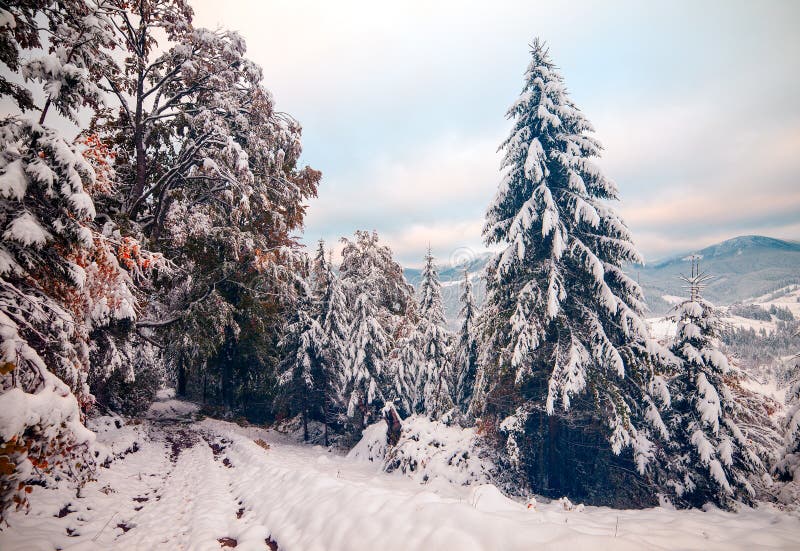Two Seasons - Winter and Autumn Scene in the Park Stock Photo - Image ...