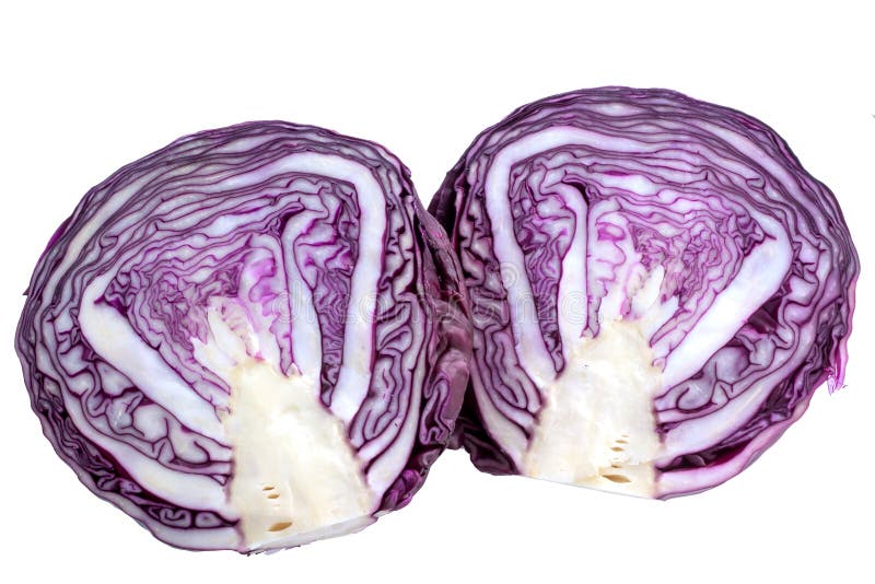 Half of Red Cabbage Isolated on White. Looks Like a Brain Stock Photo ...