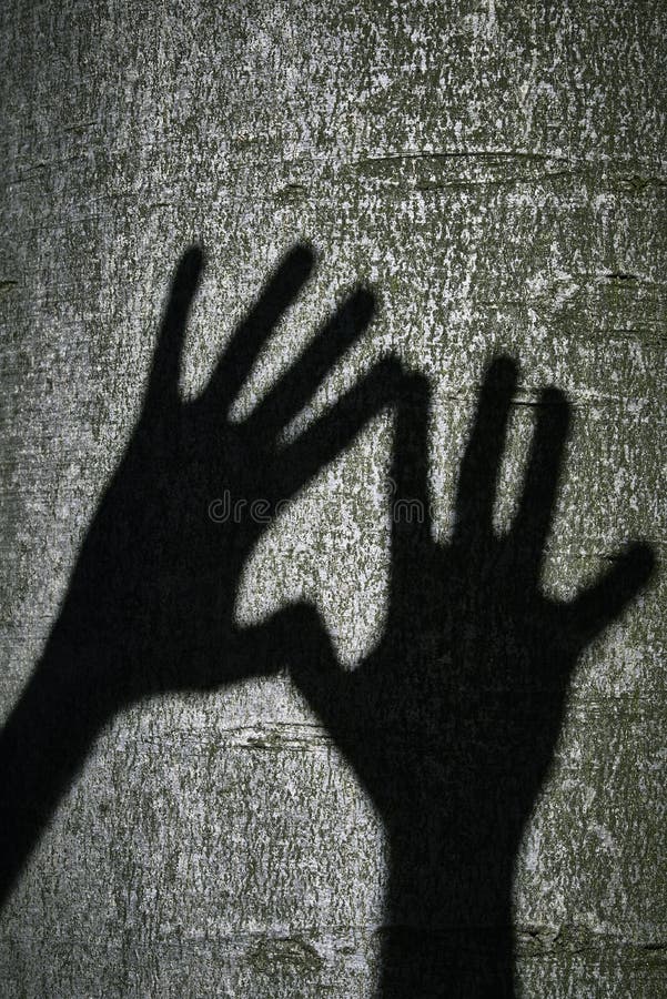 Two shadows hands stock image. Image of concept, beech - 77084045