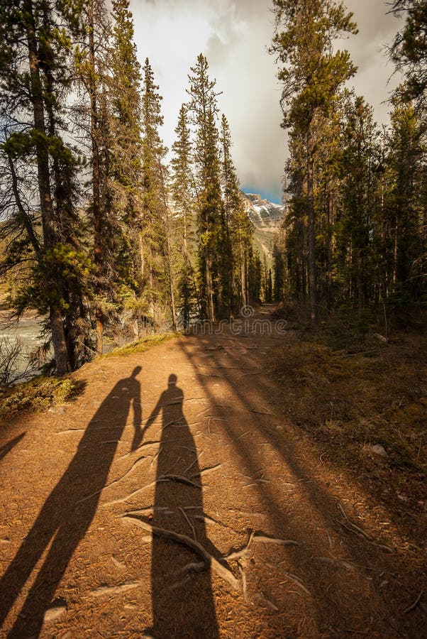 Two Shadows Holding Hands in Golden Light Down a Forested Path Stock ...
