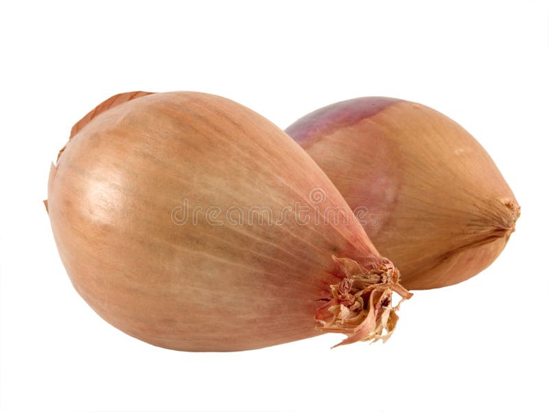 Shallot close-up 2 stock image. Image of freshness, onions - 5707879
