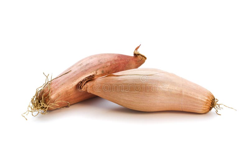 Two shallots isolated stock photo. Image of spicy, food - 8061854