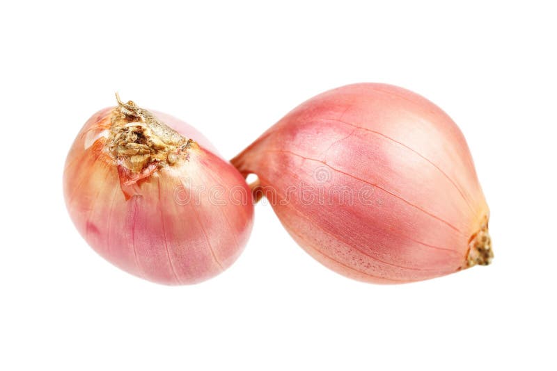 Two Shallots Isolated on White Stock Photo - Image of cuisine, clove ...