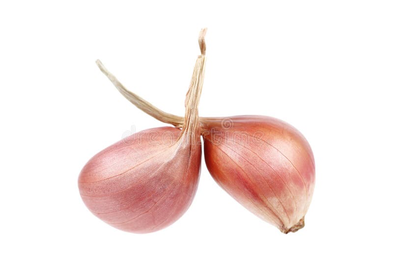 Two Shallots Isolated on White Stock Image - Image of backdrop, garlic ...