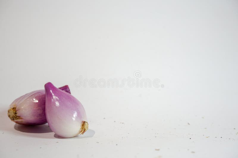 Two Shallots Lying on a Gray Background and Negative Space on the Right ...