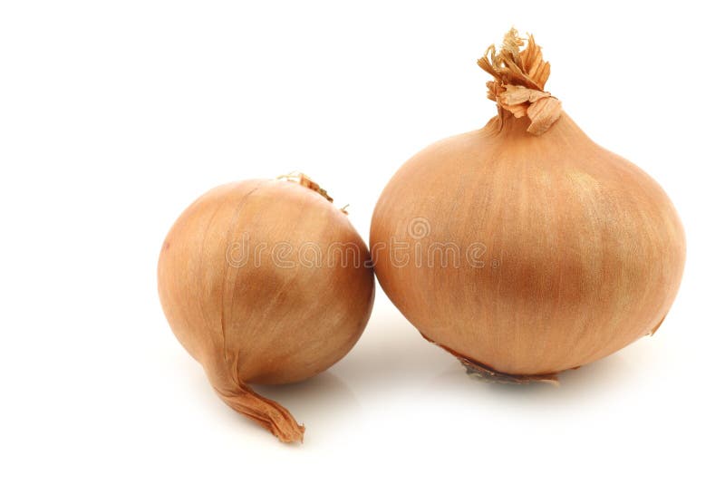 Two shallots stock image. Image of organic, isolated - 47656763