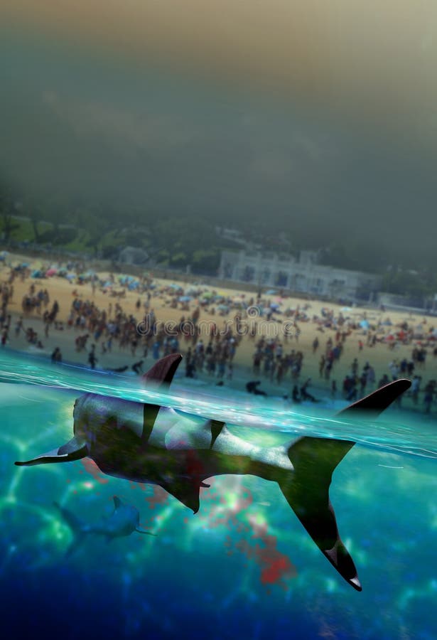 Sharks Approaching the Coast Stock Image - Image of jaws, rays: 260980831