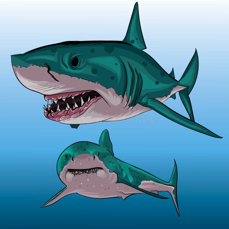 Shark Sports Mascot Running Stock Vector - Illustration of mascots ...
