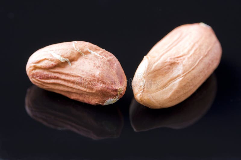 Two shelled nuts stock image. Image of close, open, vunerable - 3592203