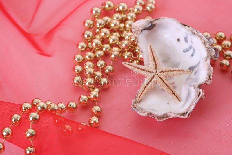 Two Sea Shells Picture. Image: 933666