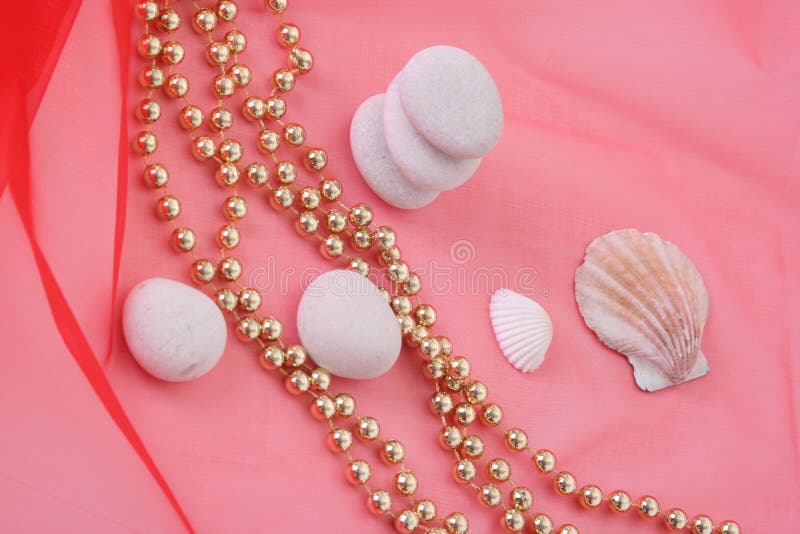 Two Sea Shells Picture. Image: 933666