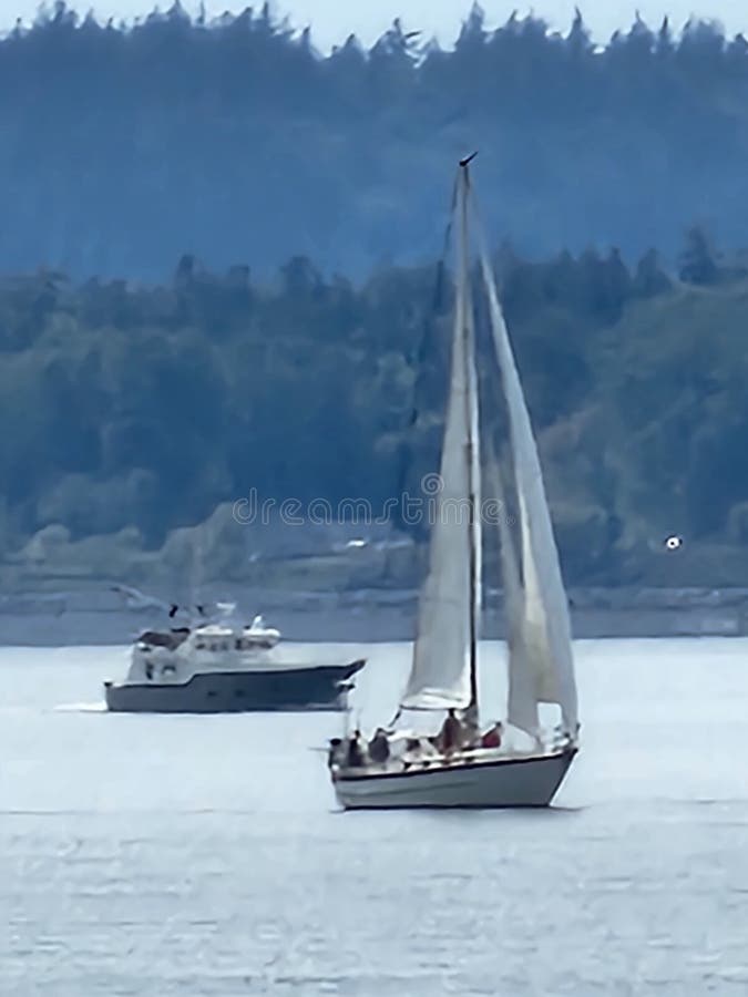 Two ships sail in the bay editorial stock image. Image of water - 248751184